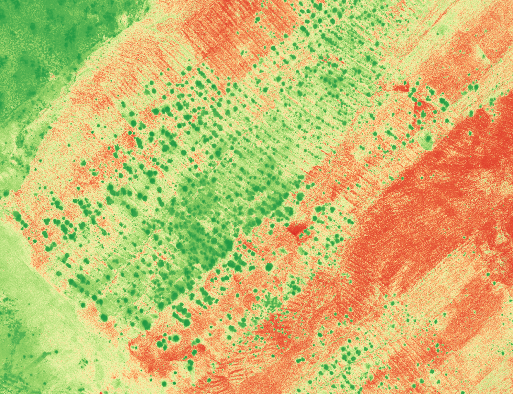 Vegetation Mapping - Above Ground | LiDAR Services